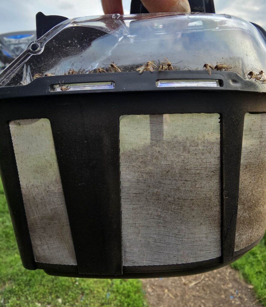 Reducing Mosquitos Safely - 360 Wellness Journey